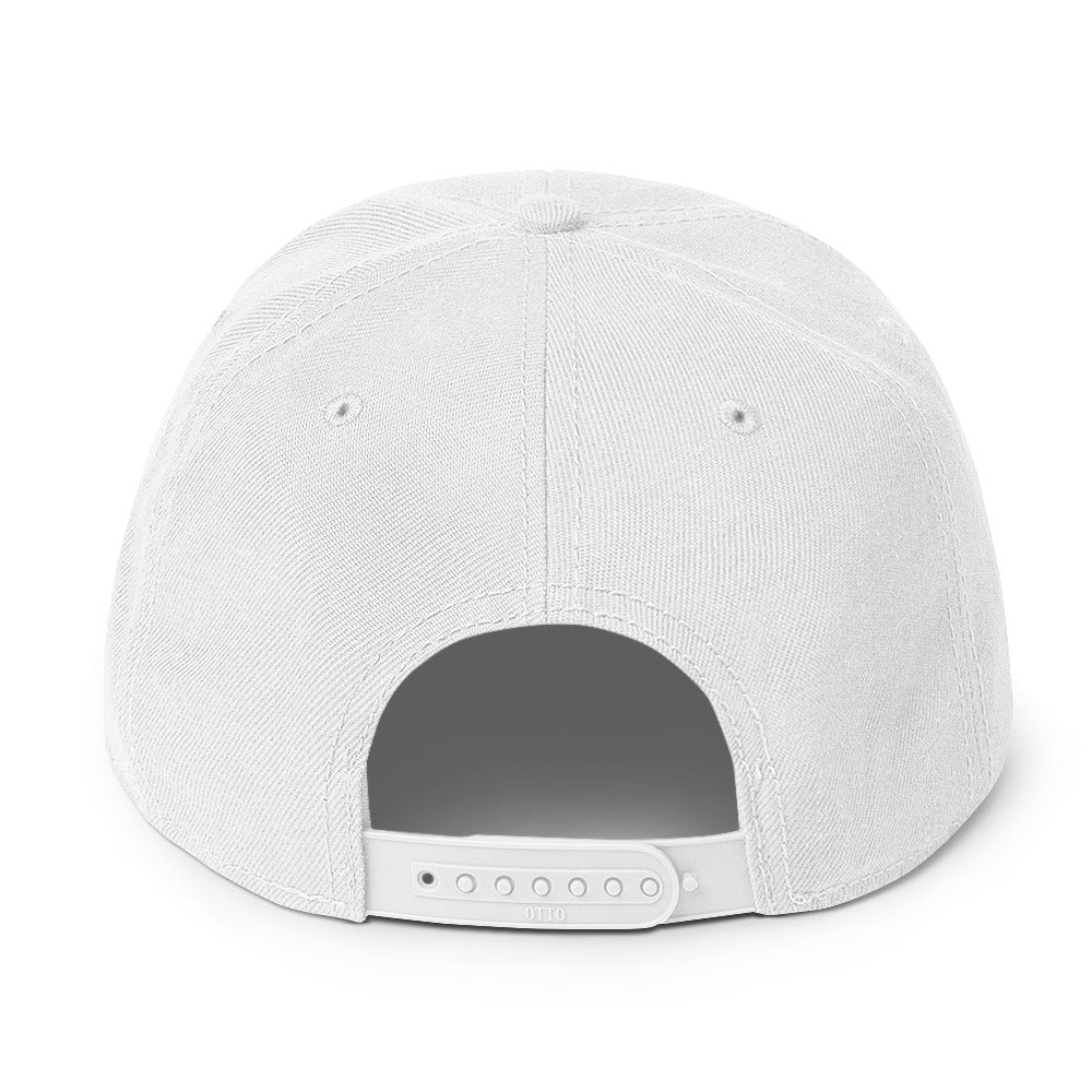 Snapback Hat – Therapstarmerchstore